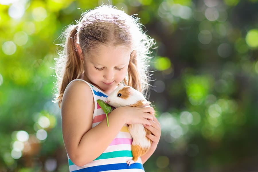 The Best Pets For Preschoolers And Elementary School Children 2 Paws The Best Pets For Preschoolers And Elementary School Children 2 Paws